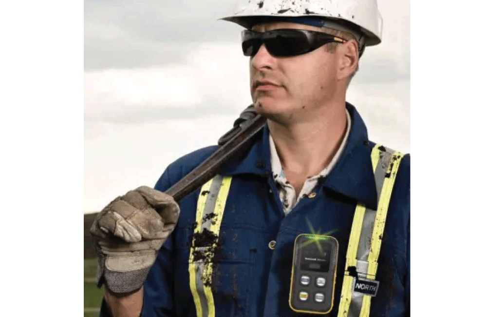 Honeywell BW Icon – 4-Gas Detector with Fixed 2-Year Life and Icon ...